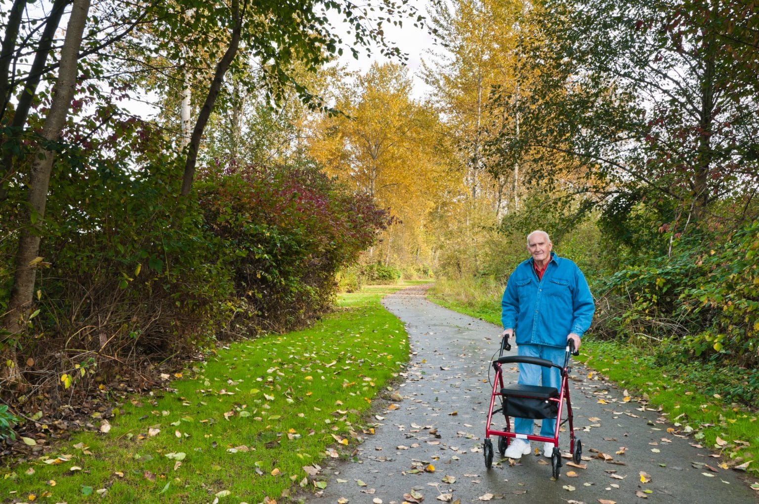 5 Enjoyable Activities for Seniors - Courtyard Manor